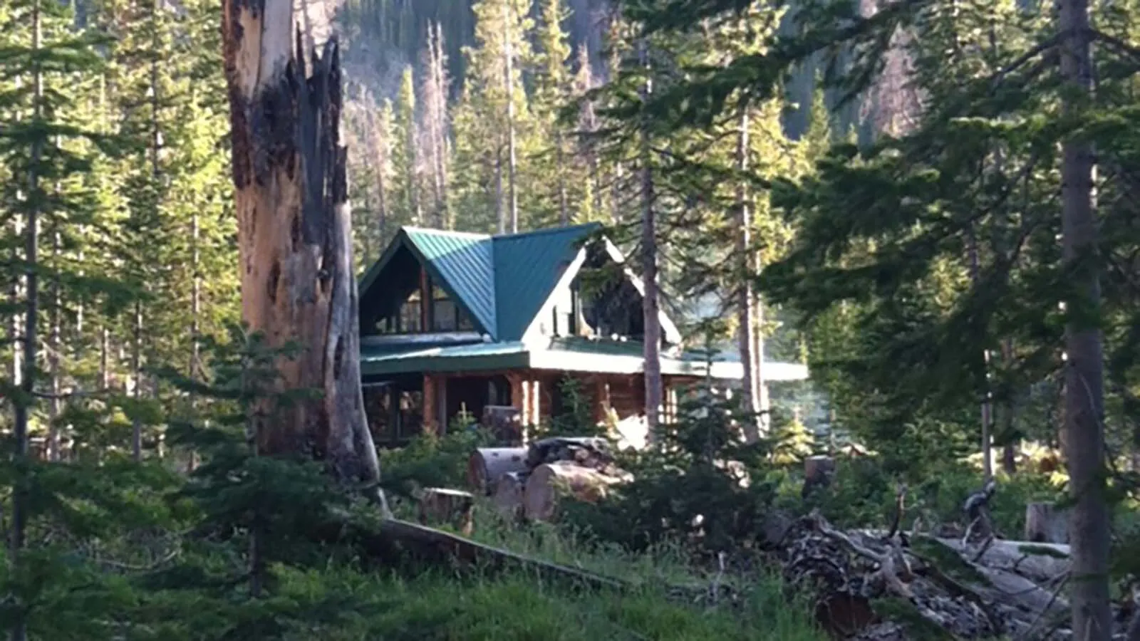 Two Old Guys In Their 70s Build A Cabin, Part 2: Raising The Roof ...