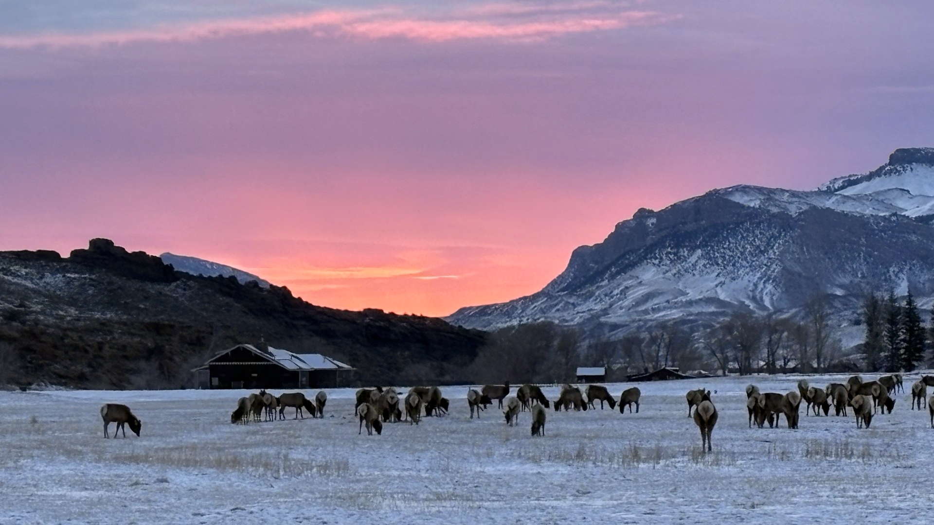 Your Wyoming Sunrise: Sunday, April 6, 2025 | Cowboy State Daily