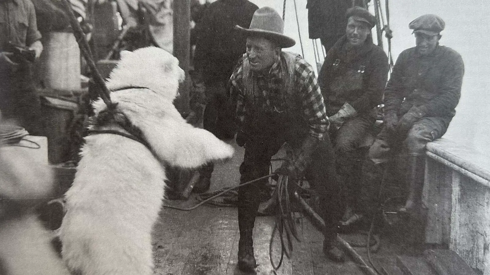 Wyoming History: That Time A Yellowstone Park Ranger Lassoed Polar ...