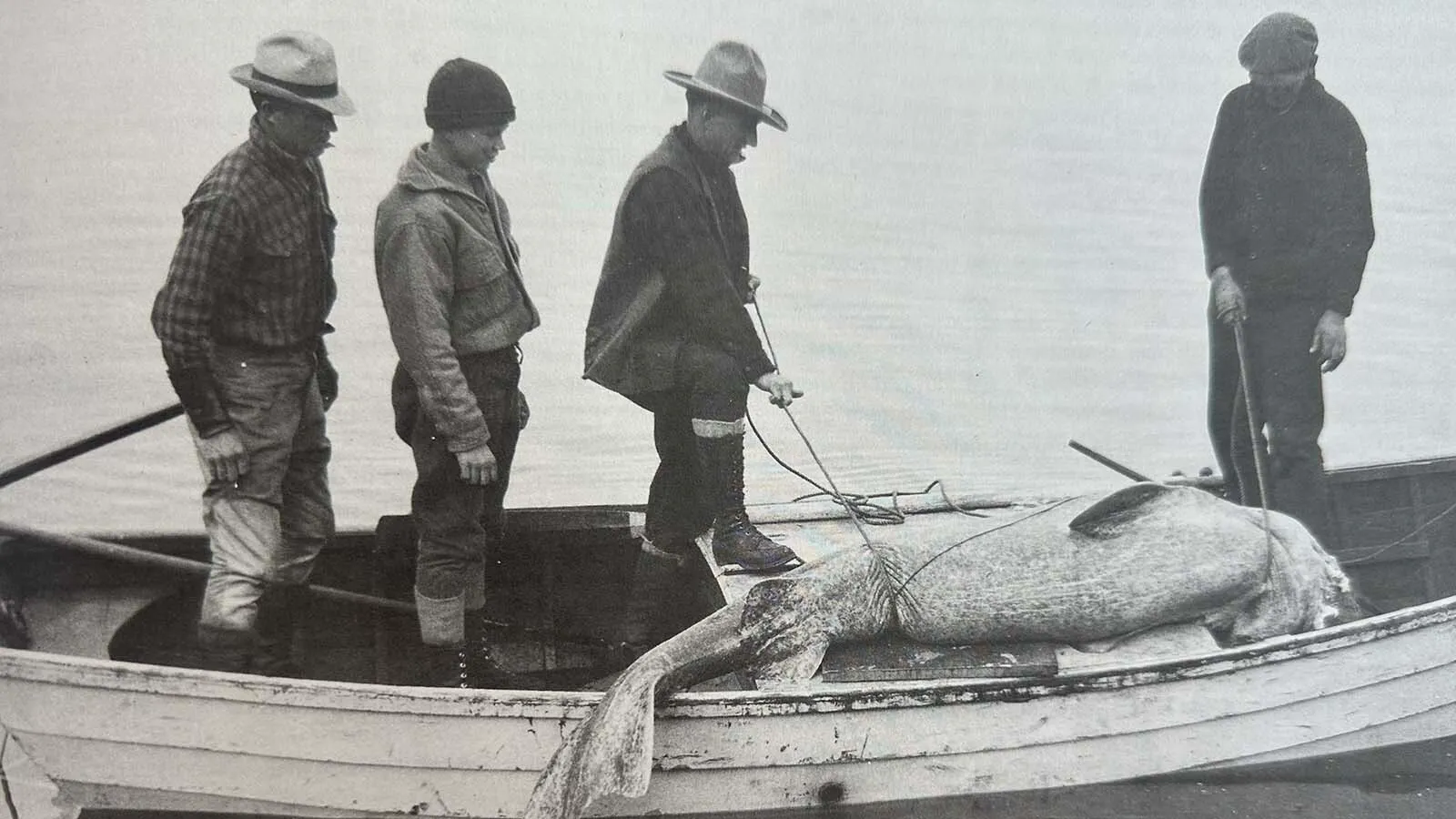 Wyoming History: That Time A Yellowstone Park Ranger Lassoed Polar ...