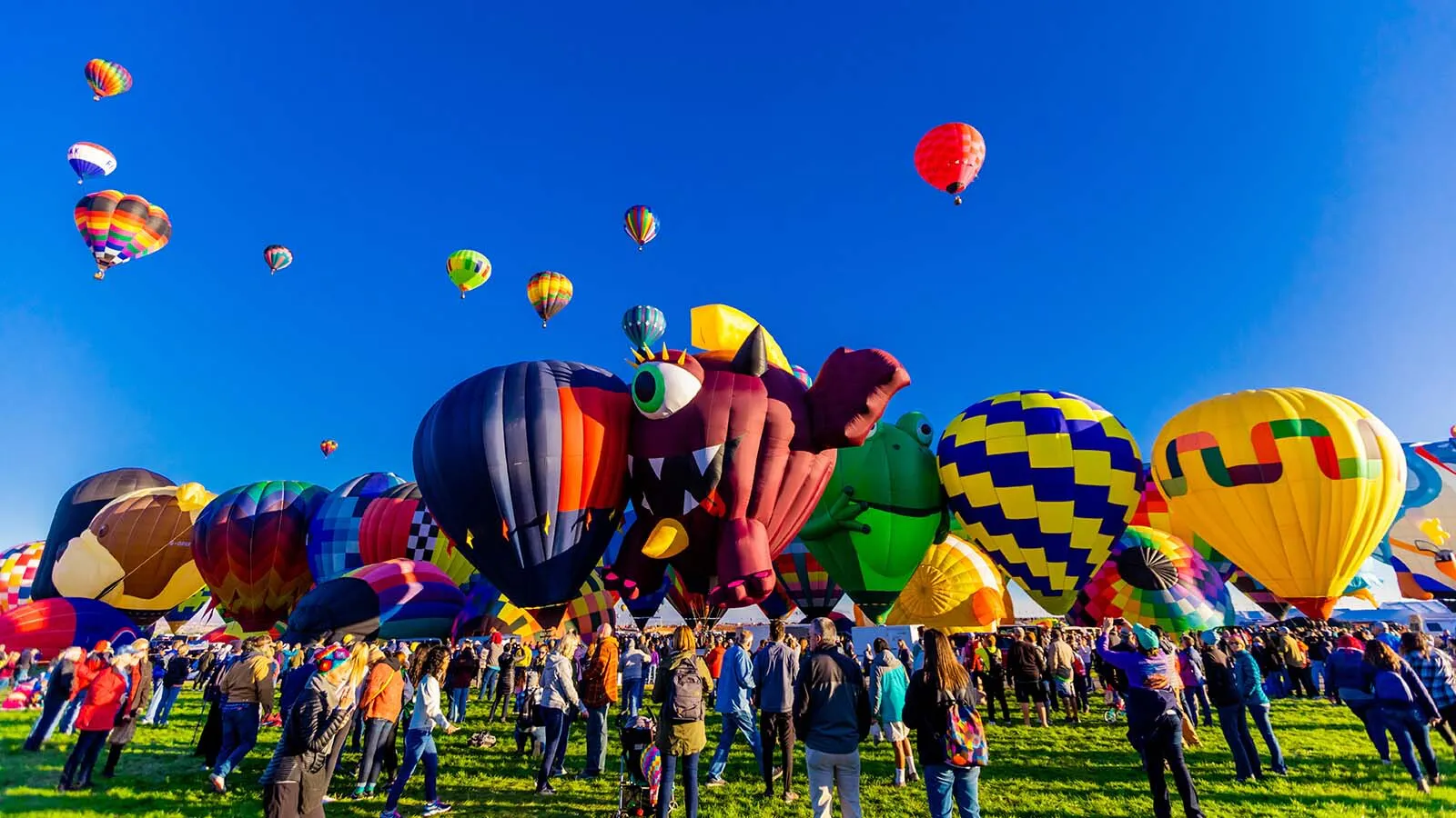 World’s Largest Hot-Air Balloon Fest Relies On Don Day’s Weather ...