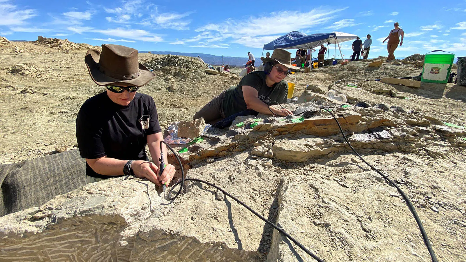 Dinosaur World Thrilled Over Allosaurus Found In Wyoming’s Jurassic ...