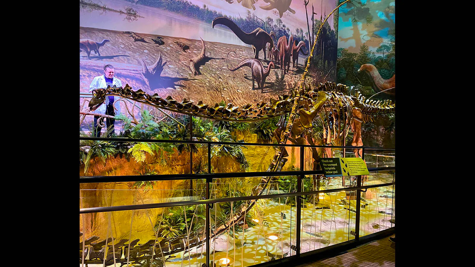 Dinosaur World Thrilled Over Allosaurus Found In Wyoming’s Jurassic ...