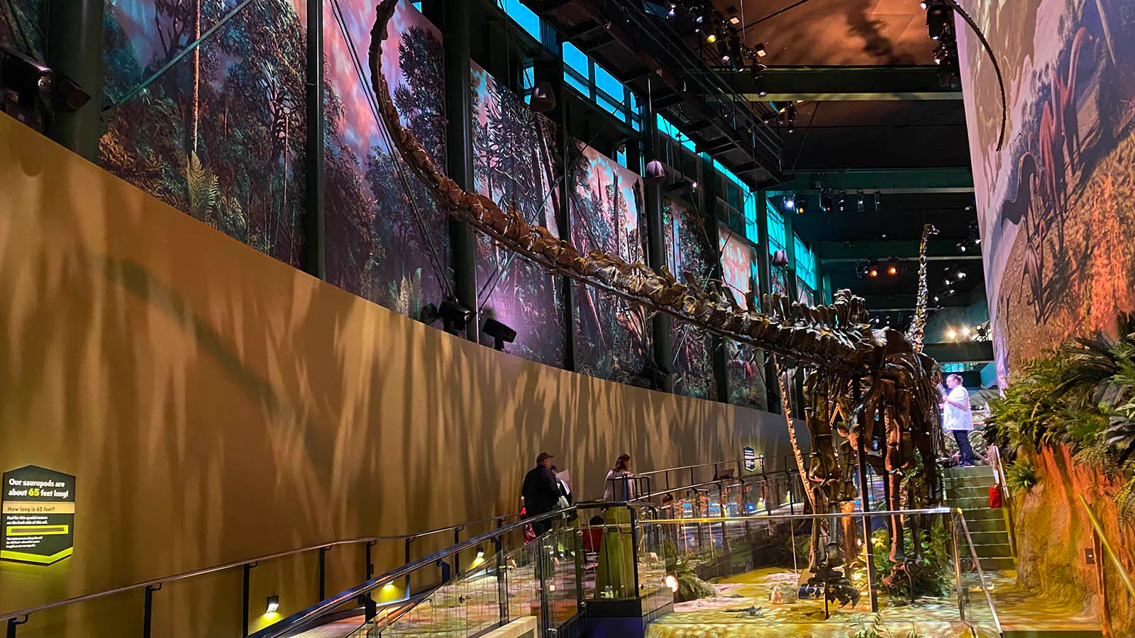 Dinosaur World Thrilled Over Allosaurus Found In Wyoming’s Jurassic ...