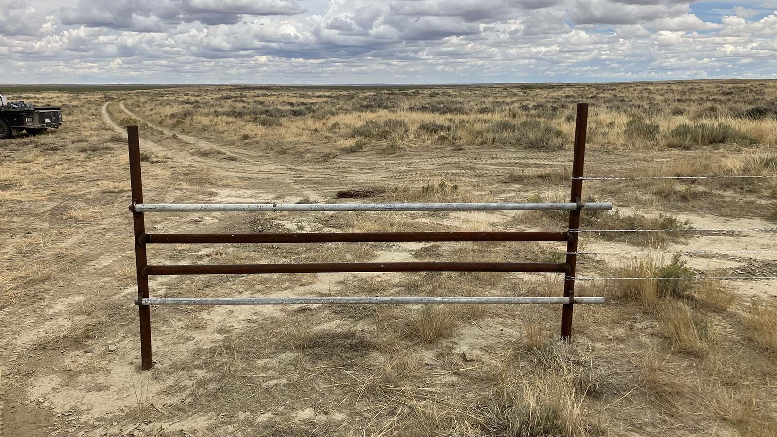 Wyoming Rancher Hopes Fence Will Prevent Another ‘Absolute Carnage’ Of ...