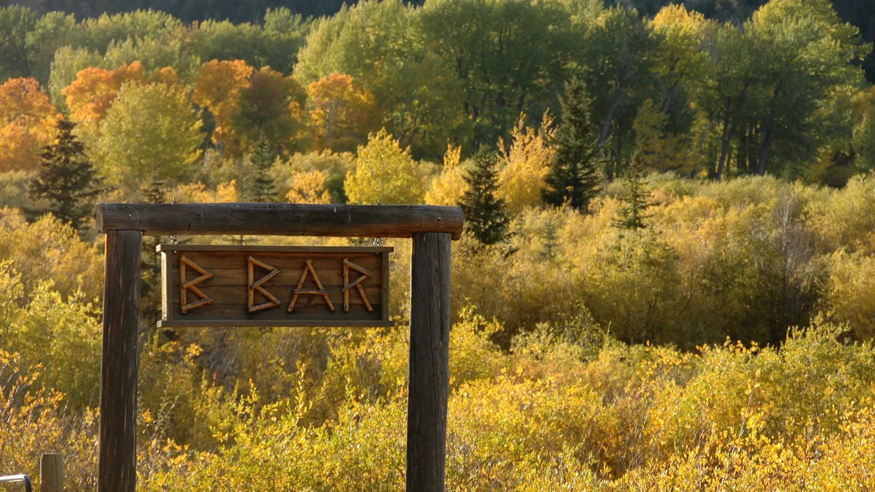 More Grizzlies Than Ever Are Showing Up On The B Bar Ranch | Cowboy ...