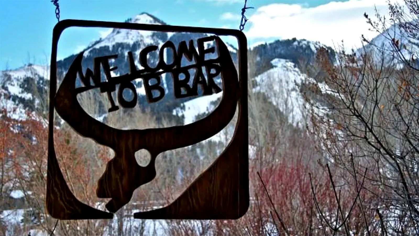 More Grizzlies Than Ever Are Showing Up On The B Bar Ranch | Cowboy ...