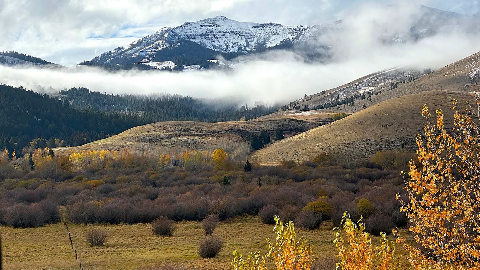 More Grizzlies Than Ever Are Showing Up On The B Bar Ranch | Cowboy ...