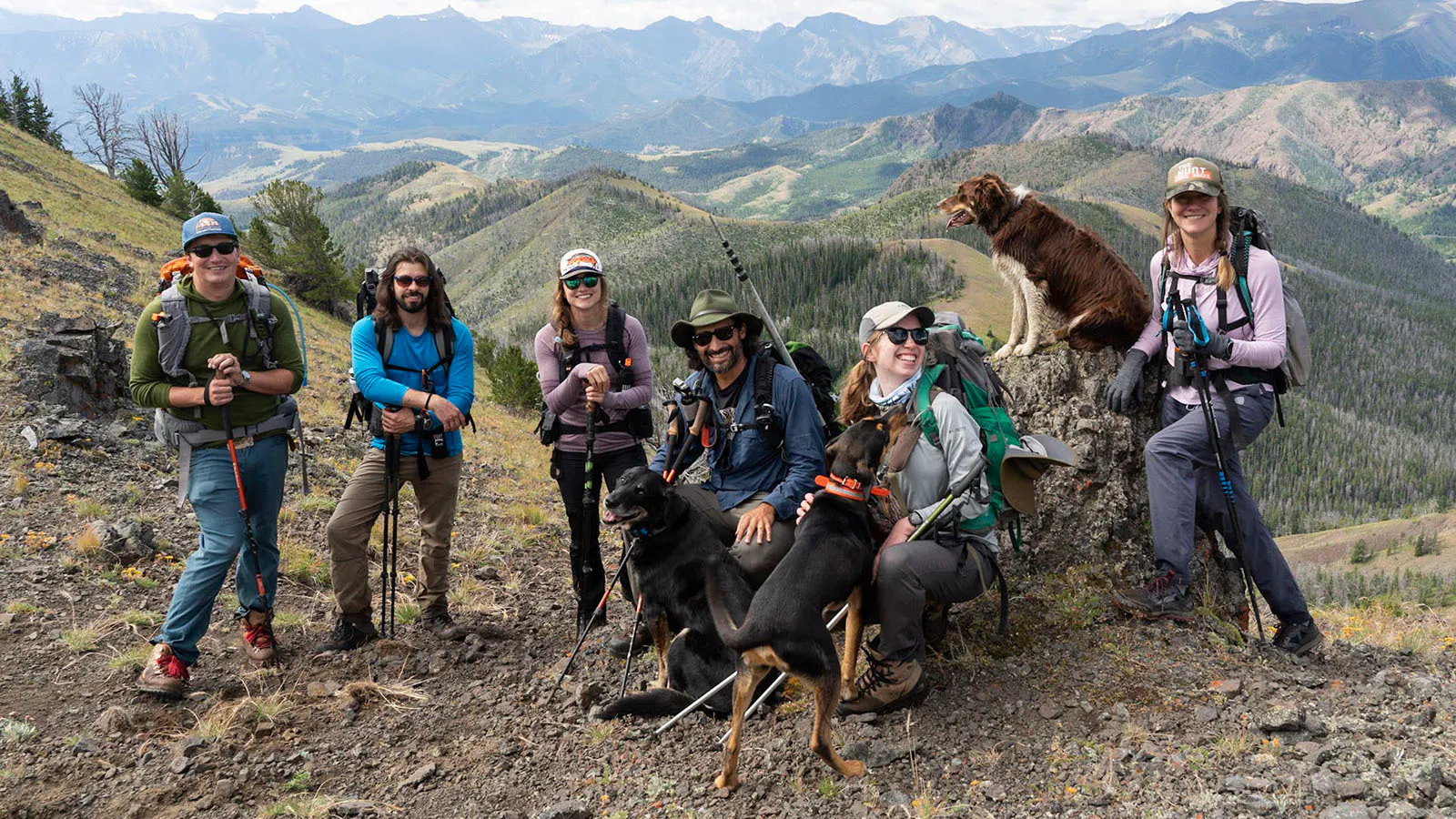 Wyoming’s Mysterious High Country Bats Focus Of 3-Year Census | Cowboy ...