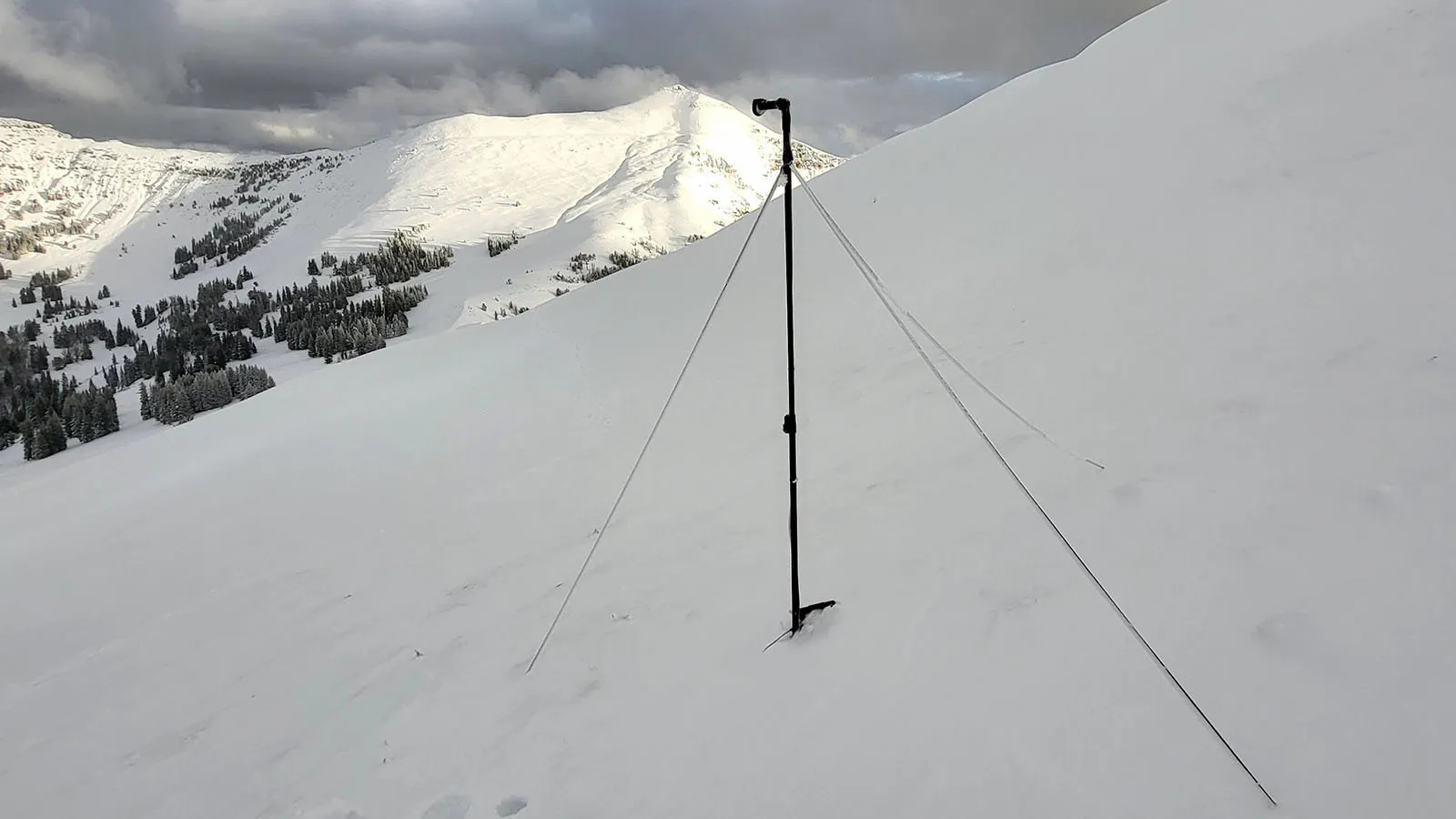 Wyoming’s Mysterious High Country Bats Focus Of 3-Year Census | Cowboy ...