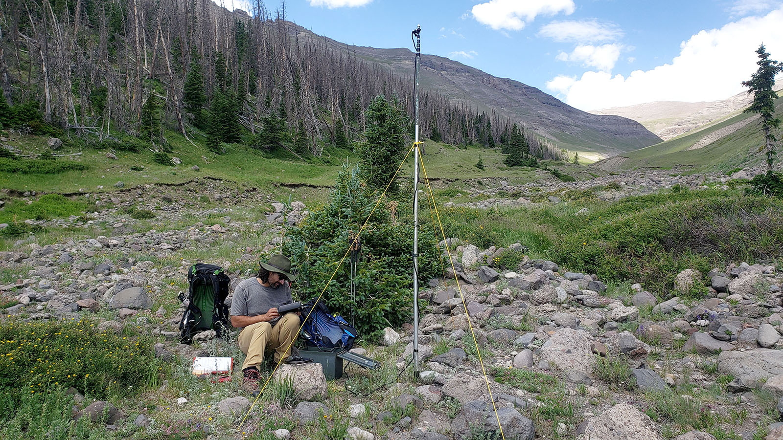 Wyoming’s Mysterious High Country Bats Focus Of 3-Year Census | Cowboy ...