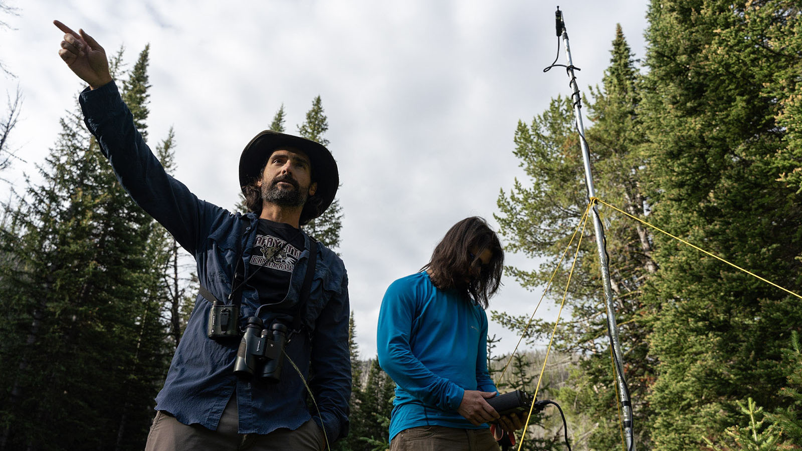 Wyoming’s Mysterious High Country Bats Focus Of 3-Year Census | Cowboy ...