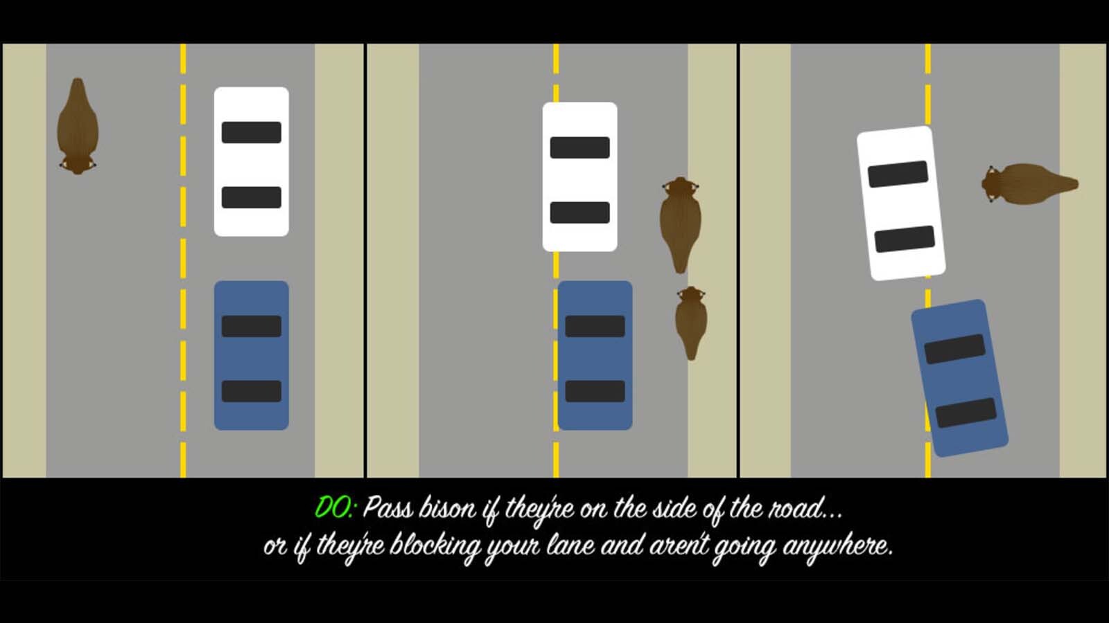 Exploring Wyoming: How To Navigate Through Yellowstone's Bison Jams ...