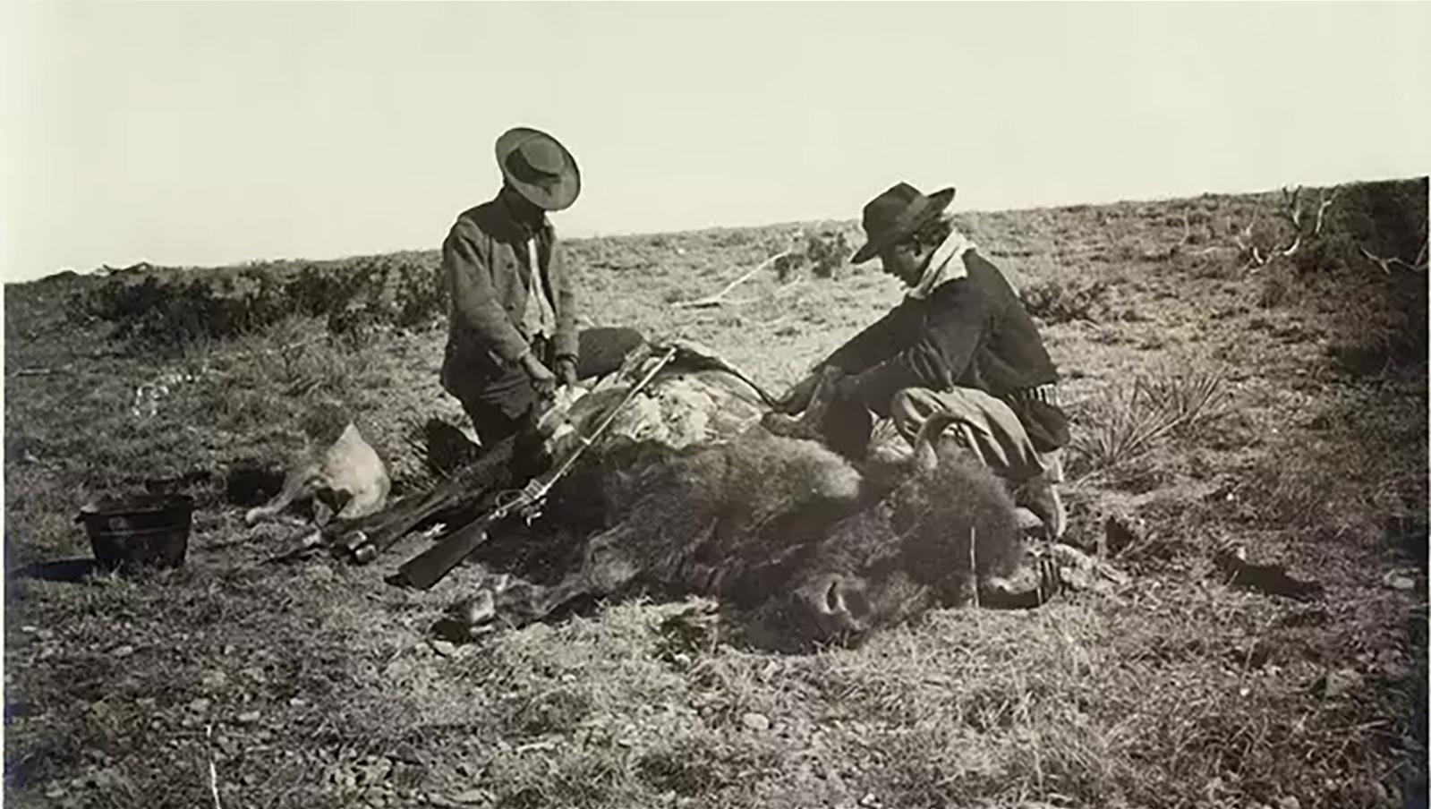 Wyoming Plays Key Role In New Ken Burns Documentary, ‘American Buffalo ...