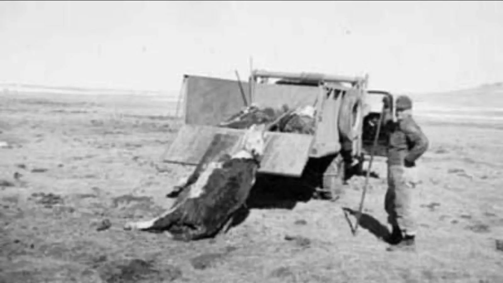 75 Years Ago, The Blizzard of 1949 Crippled Wyoming | Cowboy State Daily