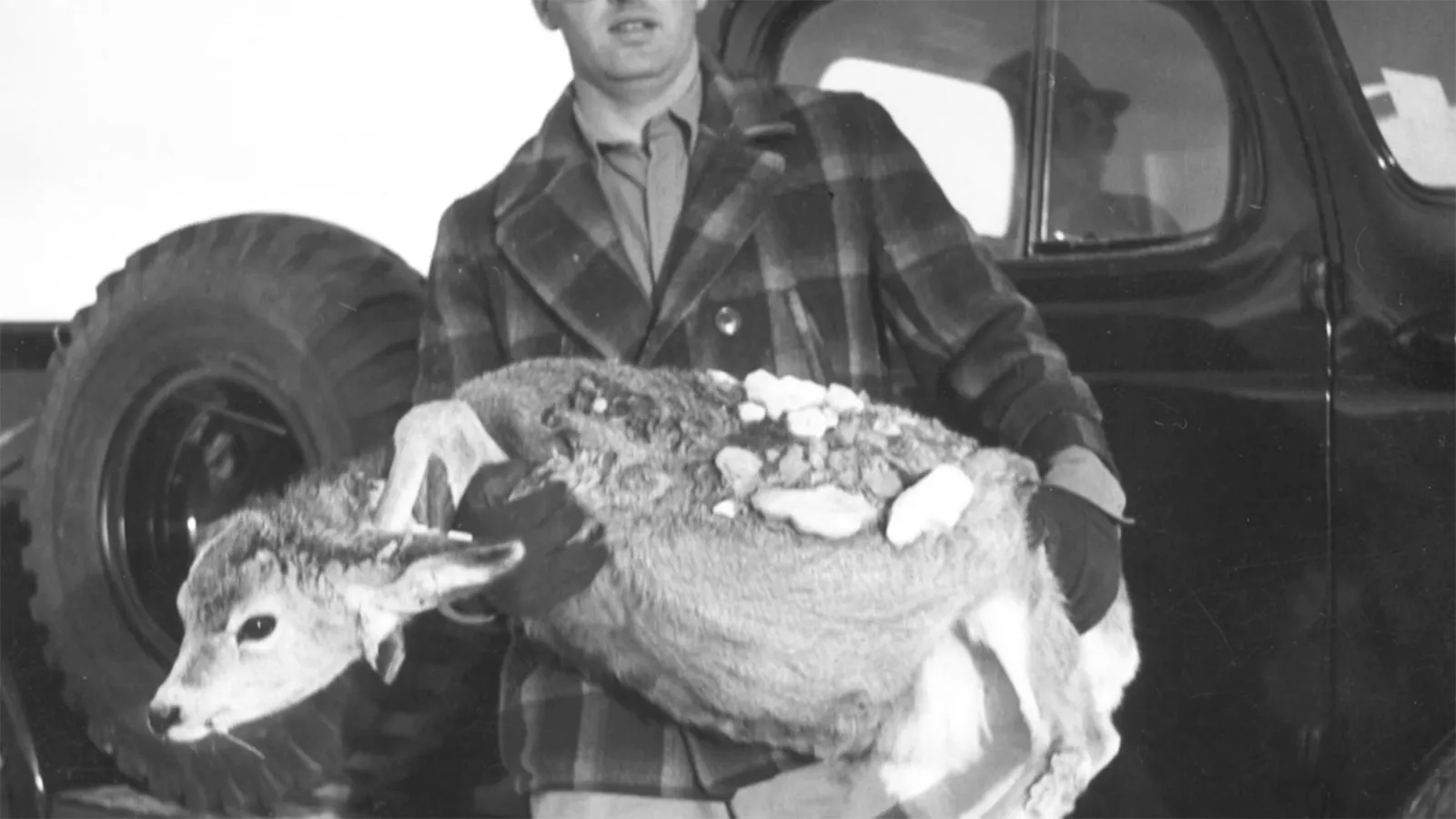 75 Years Ago, The Blizzard of 1949 Crippled Wyoming | Cowboy State Daily