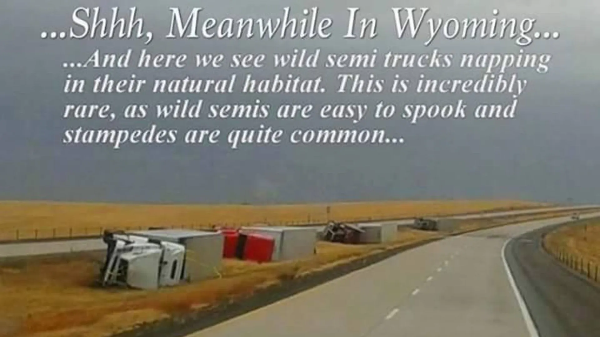 When It Comes To Wind, Wyoming Blows All Other States Away | Cowboy ...