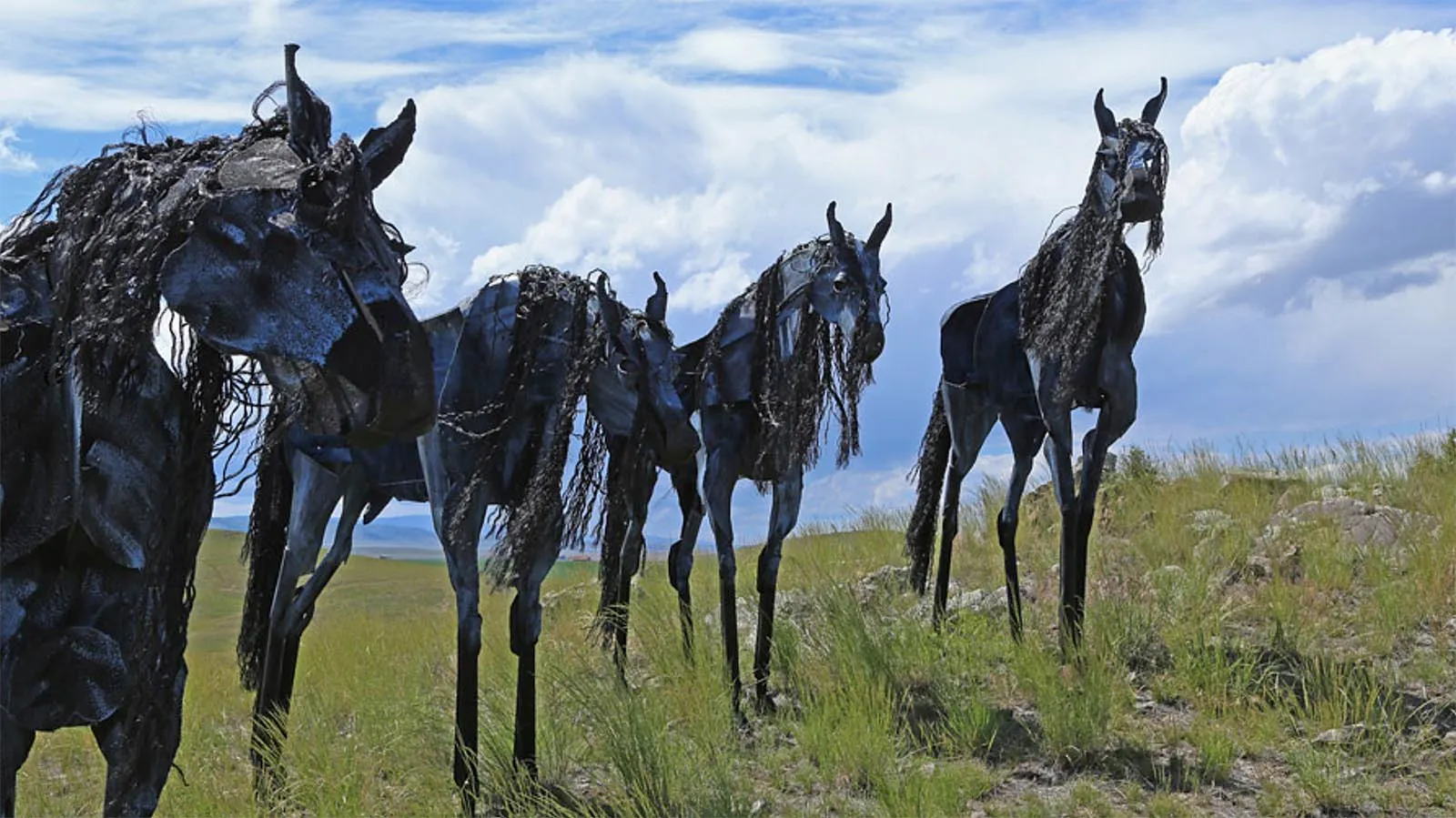 What The Heck … Is That Herd Of 39 Blue Steel Horses On A Montana ...
