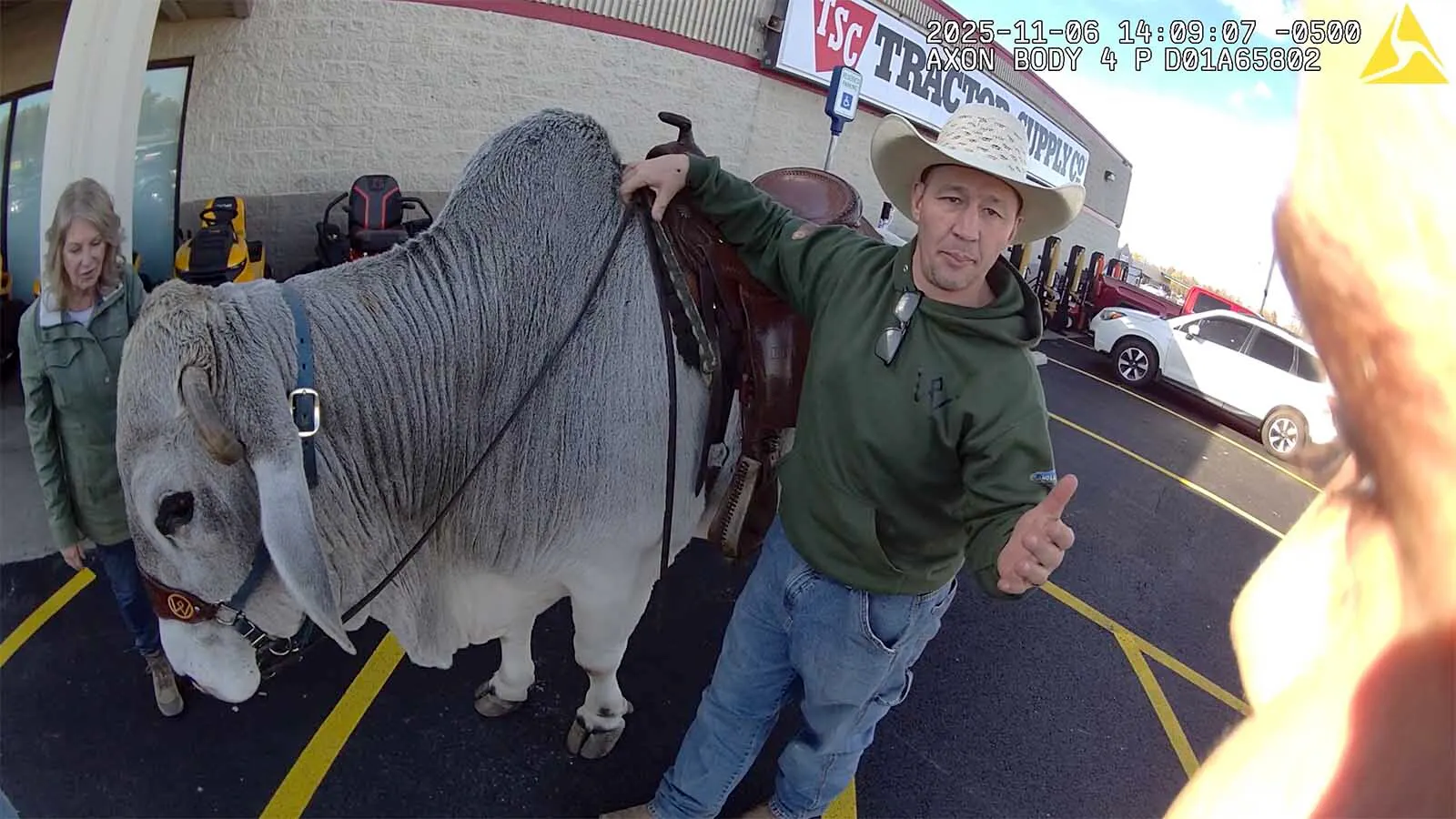 People Panic And Call Cops When Man Spotted Riding Bull In Ohio Parking ...