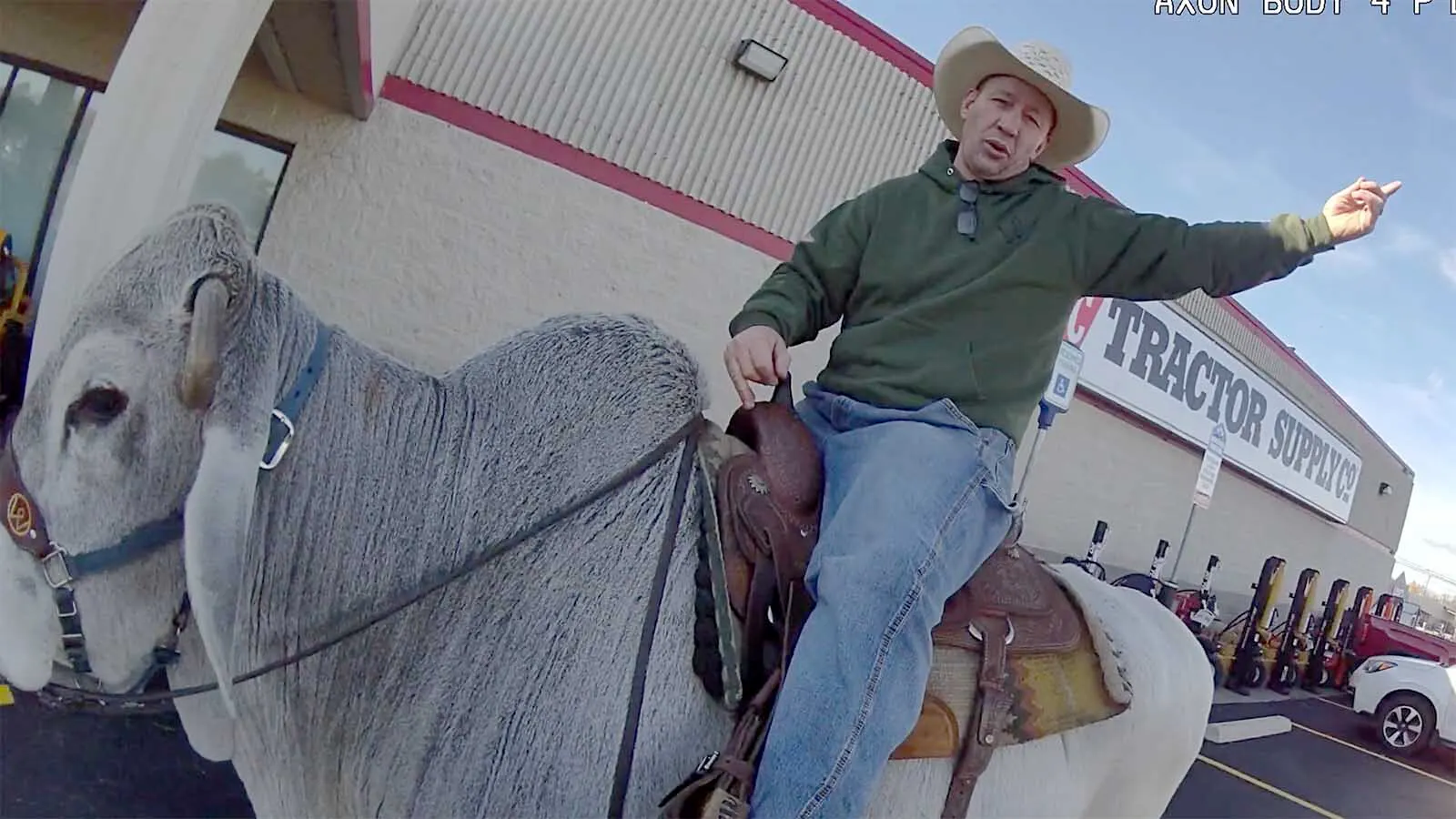 People Panic And Call Cops When Man Spotted Riding Bull In Ohio Parking ...