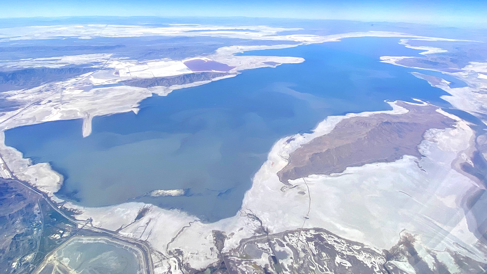 The Great Salt Lake Is Swarming With Billions Of Brine Flies | Cowboy ...
