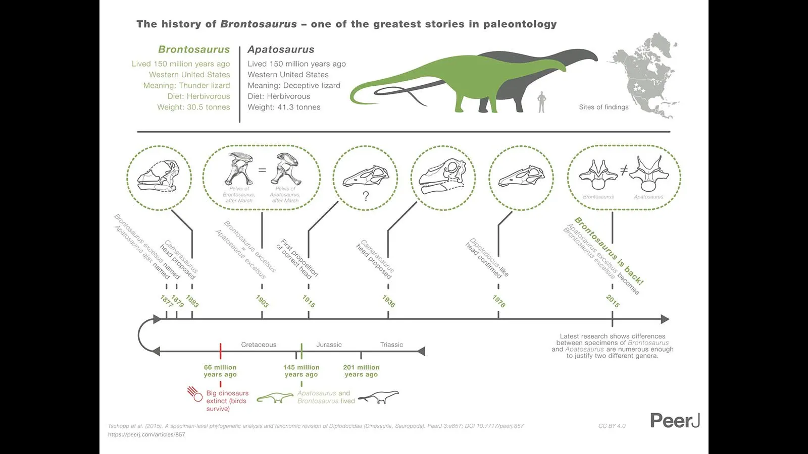 How Wyoming's Brontosaurus Became The World's Most Famous Dinosaur ...