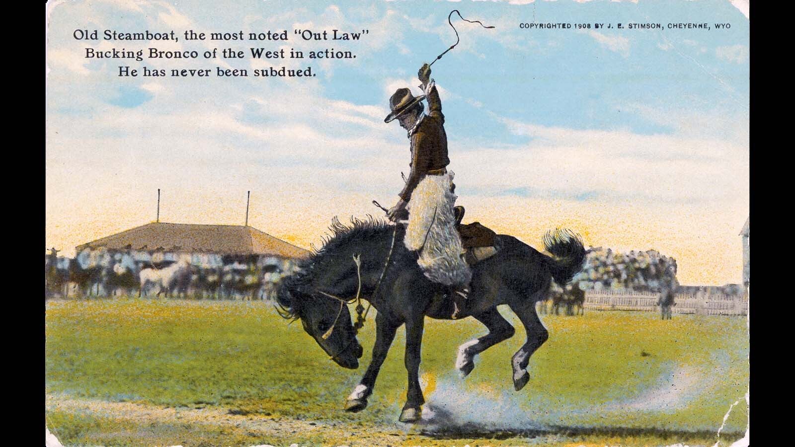 Wyoming’s Bucking Horse Logo Dates Back To WWI — And It’s Not Steamboat ...