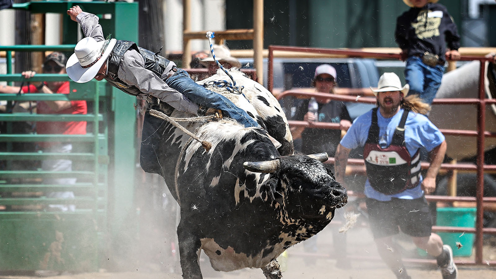 Want To Ride A Bull Like A Real Wyoming Cowboy? There's A School For ...