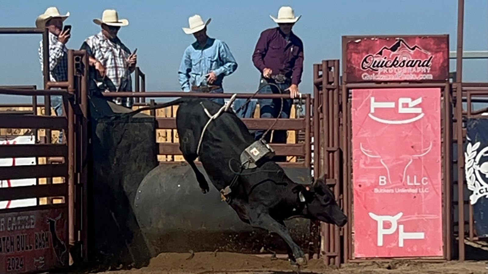 Wyoming Ranch Family Learns Raising Rodeo Bulls Nearly As Tough As ...