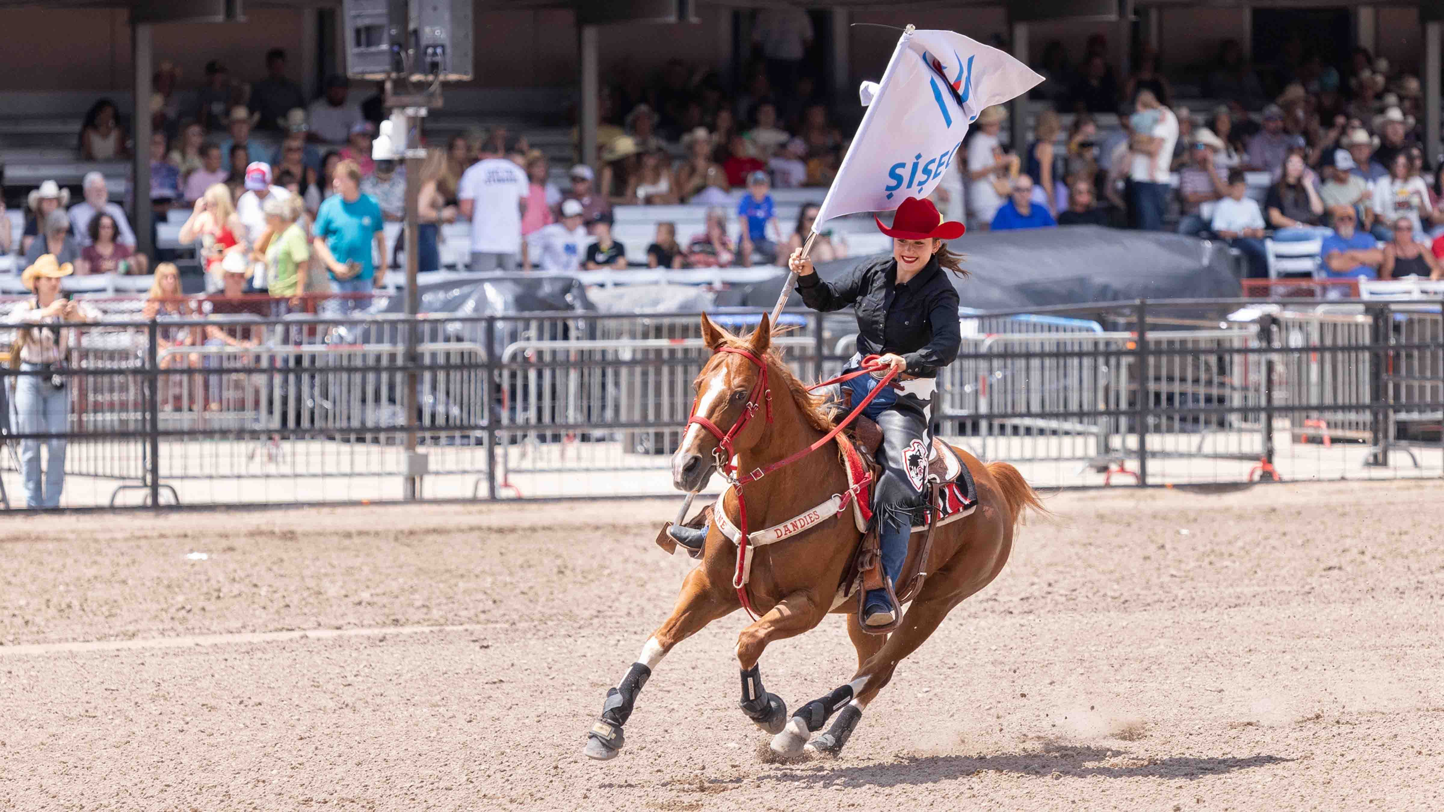 Cheyenne Frontier Days Photo Gallery: Sunday, July 21, 2024 | Cowboy ...