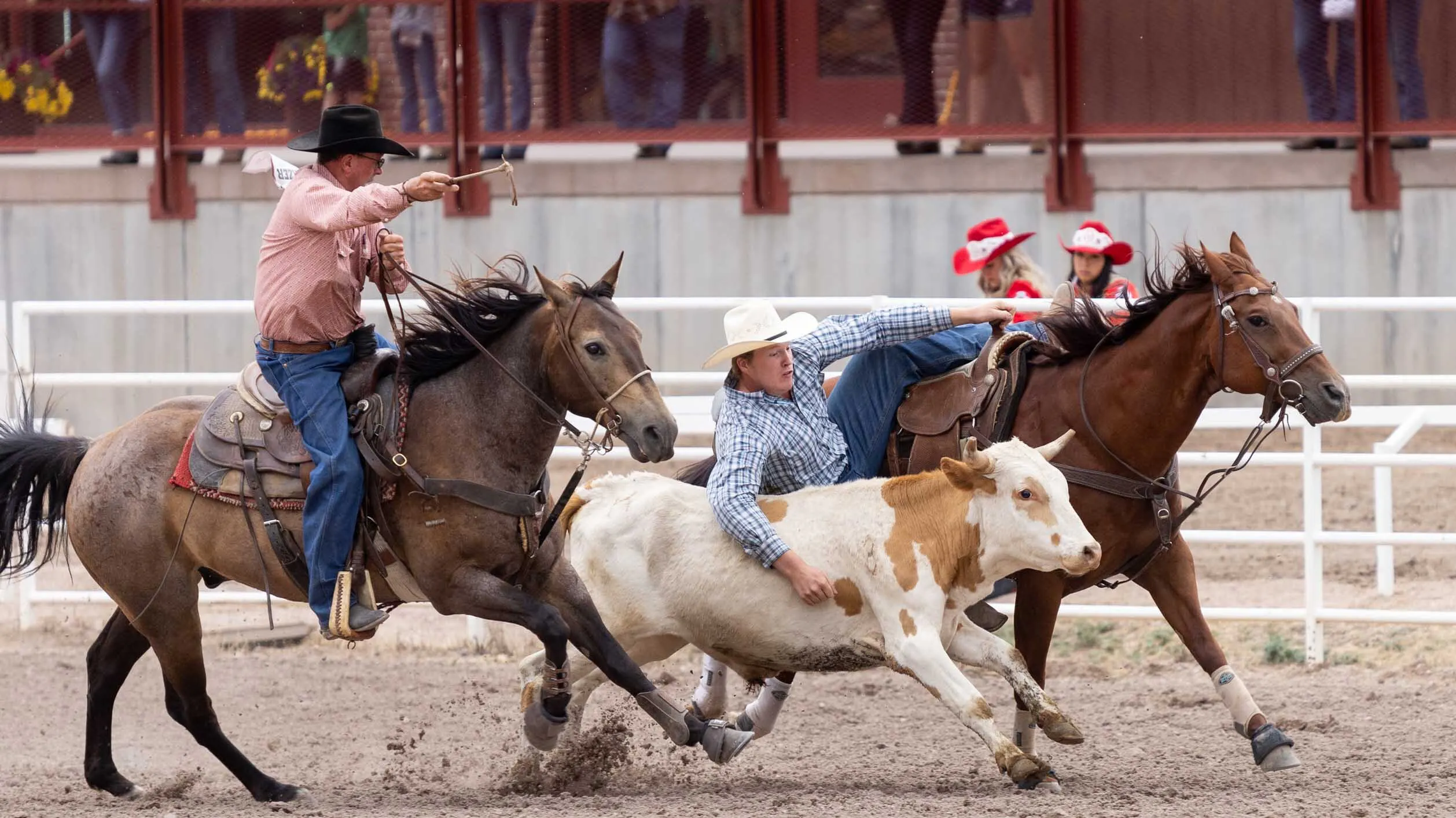 Cowboy State Daily's Cheyenne Frontier Days Photo Gallery -- Sunday ...