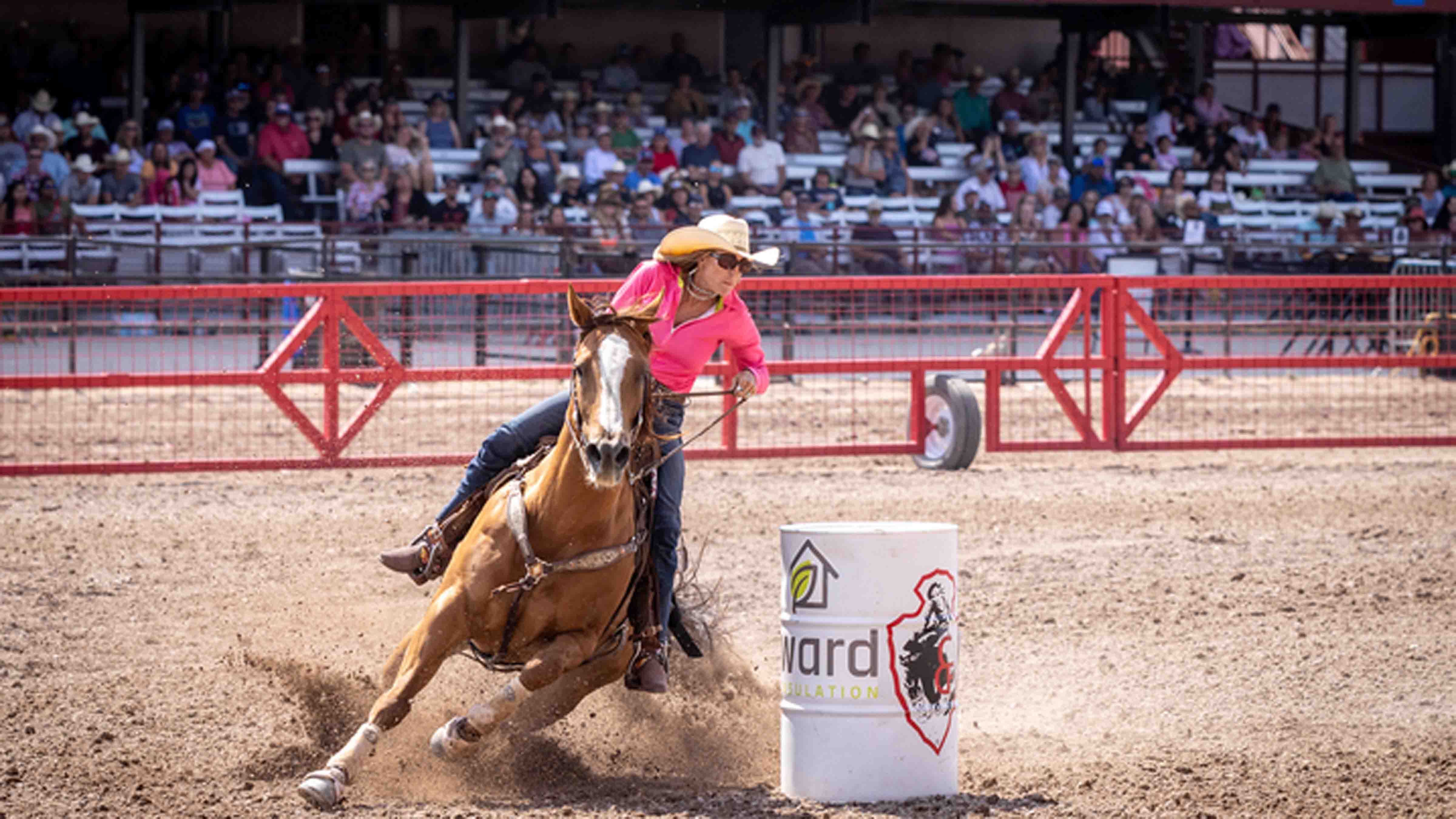 Cheyenne Frontier Days Photo Gallery: Saturday, July 27, 2024 | Cowboy ...