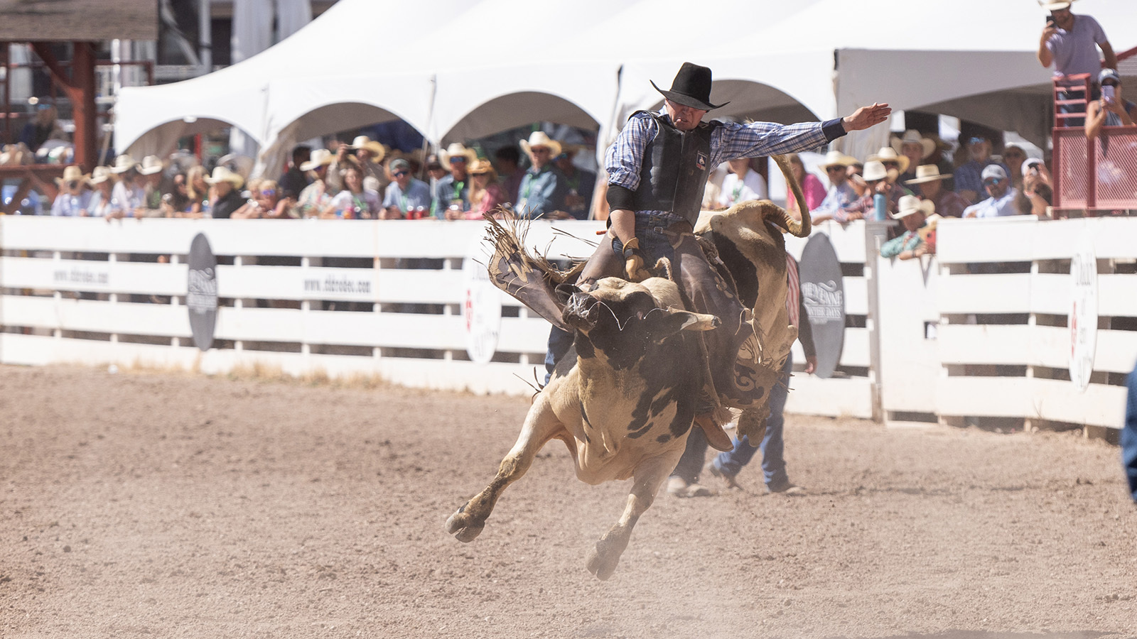 Bull Riding Border War Brewing After Frontier Days Switches From PBR To ...