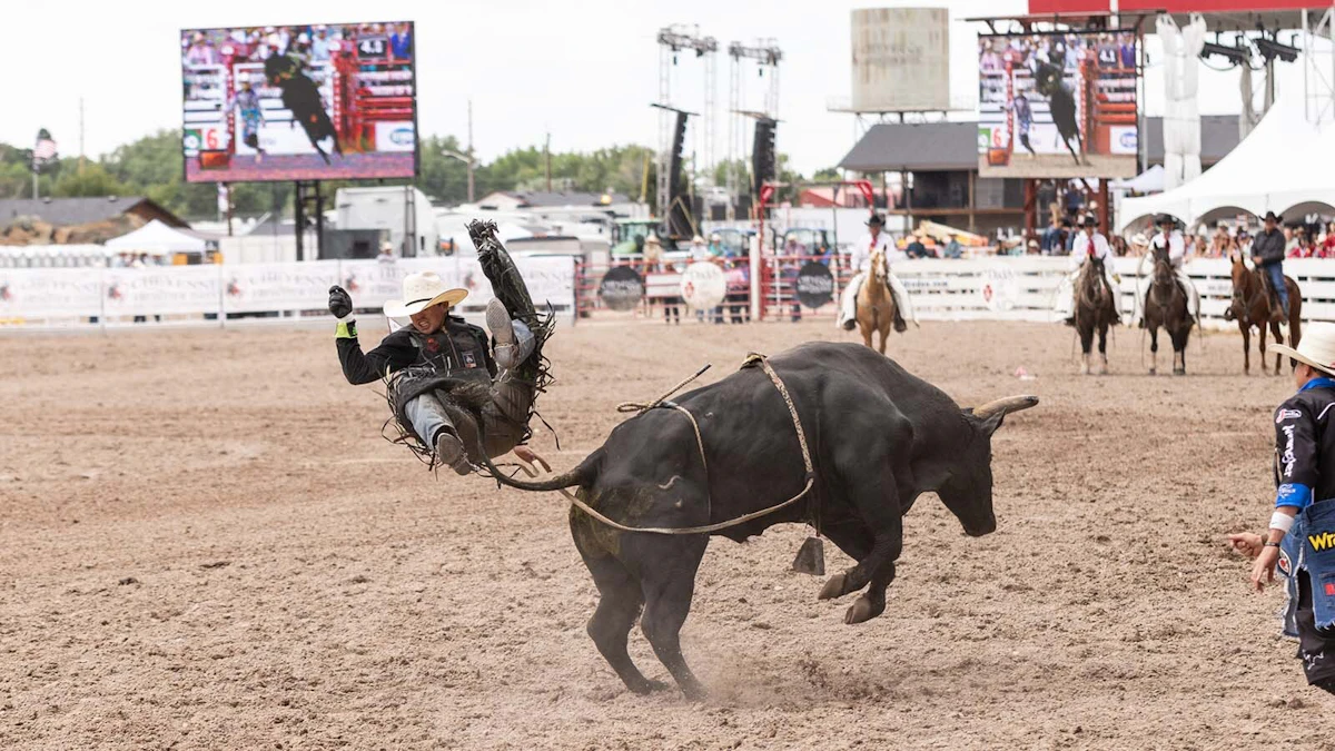 Bull Riding Border War Brewing After Frontier Days Switches From PBR To ...
