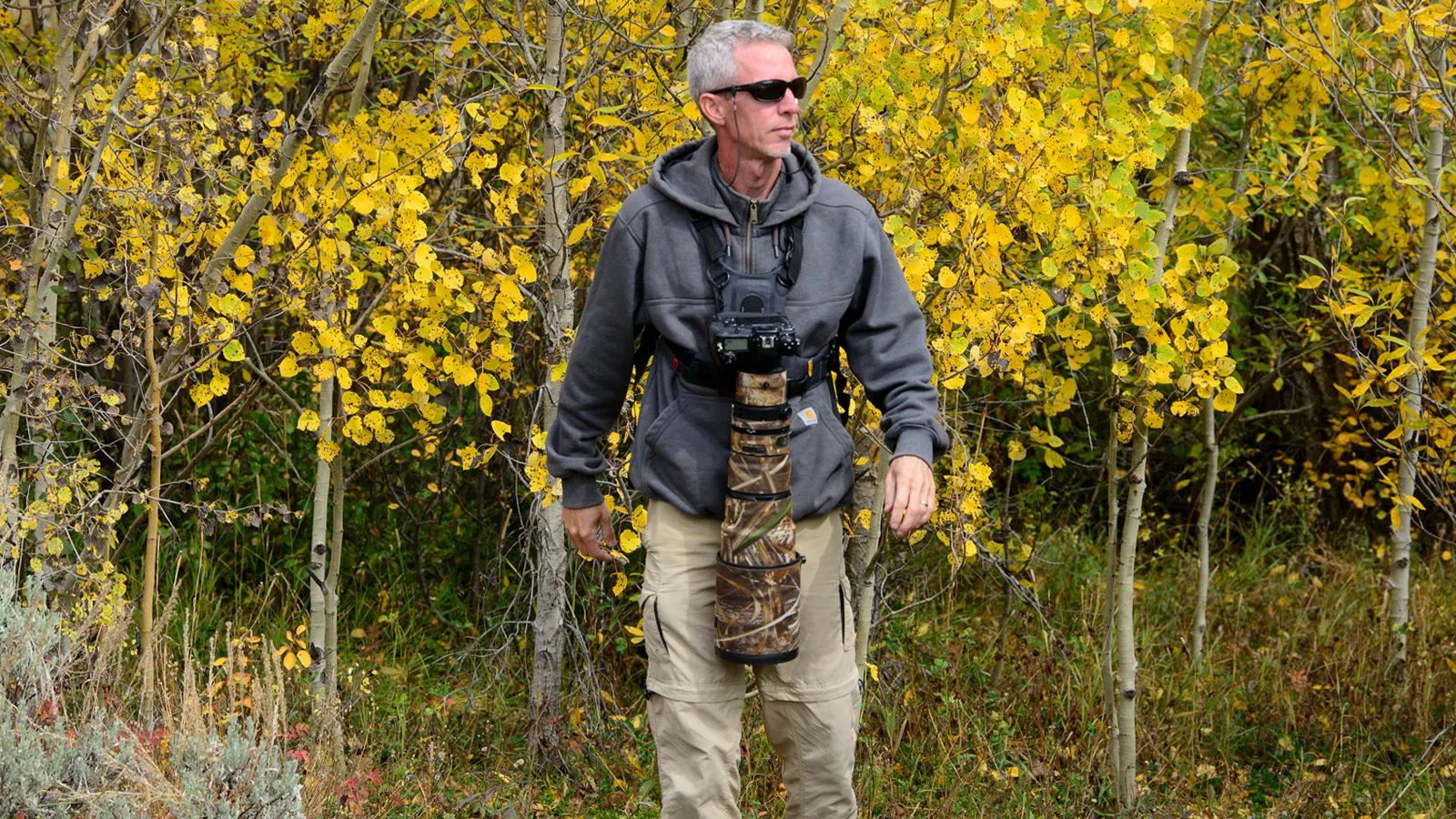For Wildlife Photography Do You Need An Expensive Camera Or Is An ...