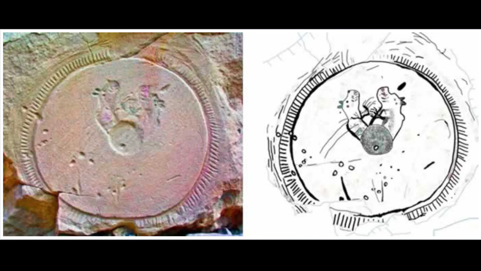 New Discovery At Ancient Petroglyph Site Changes Timeline Of Early ...