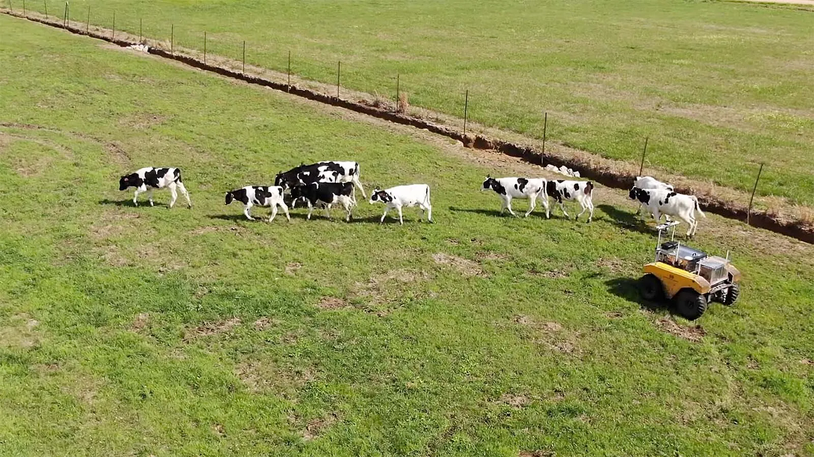 Robots Are Herding Cattle, But Wyoming Wranglers Say They Can’t Replace ...