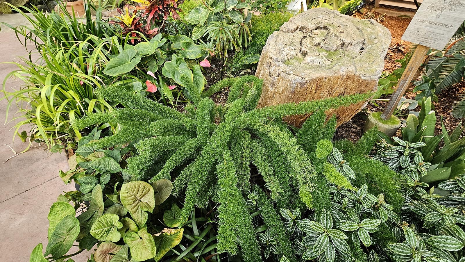 No Exaggeration: Cheyenne Botanic Gardens Is Tropical Oasis In Middle ...