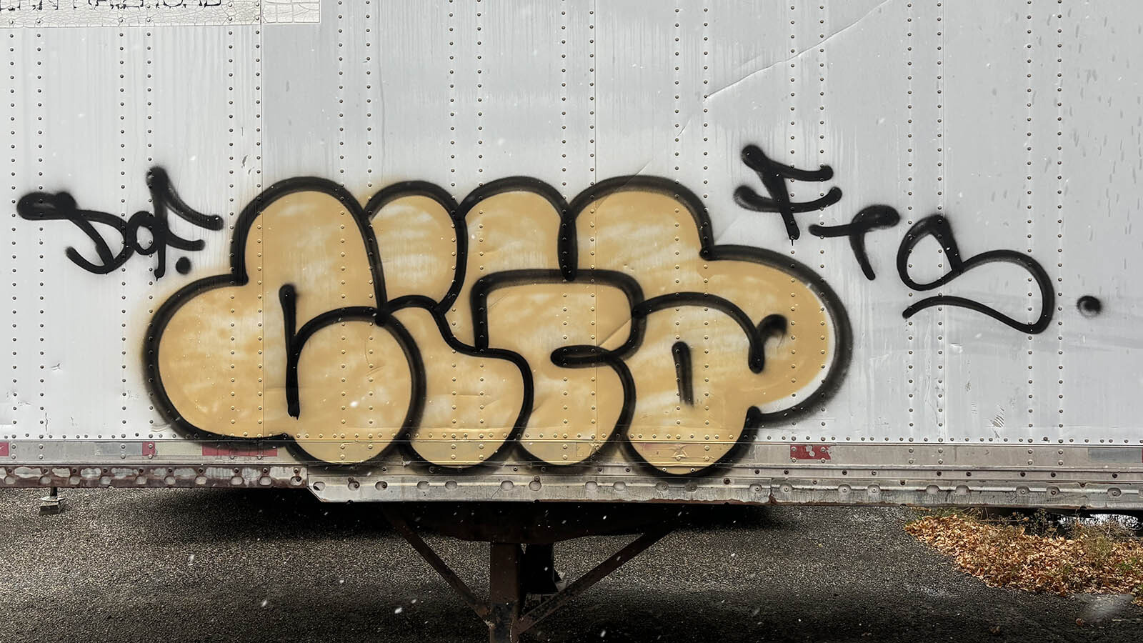 Nationally Notorious Serial Graffiti Vandal “Ciga” Targets Cody ...