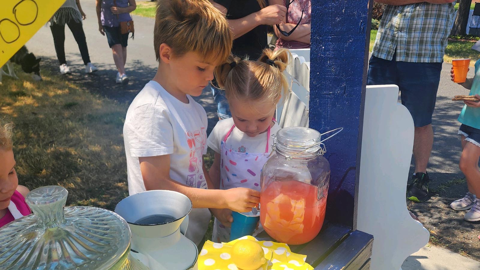 Cody Cops Shut Down Kids’ Lemonade Stand In City Park | Cowboy State Daily