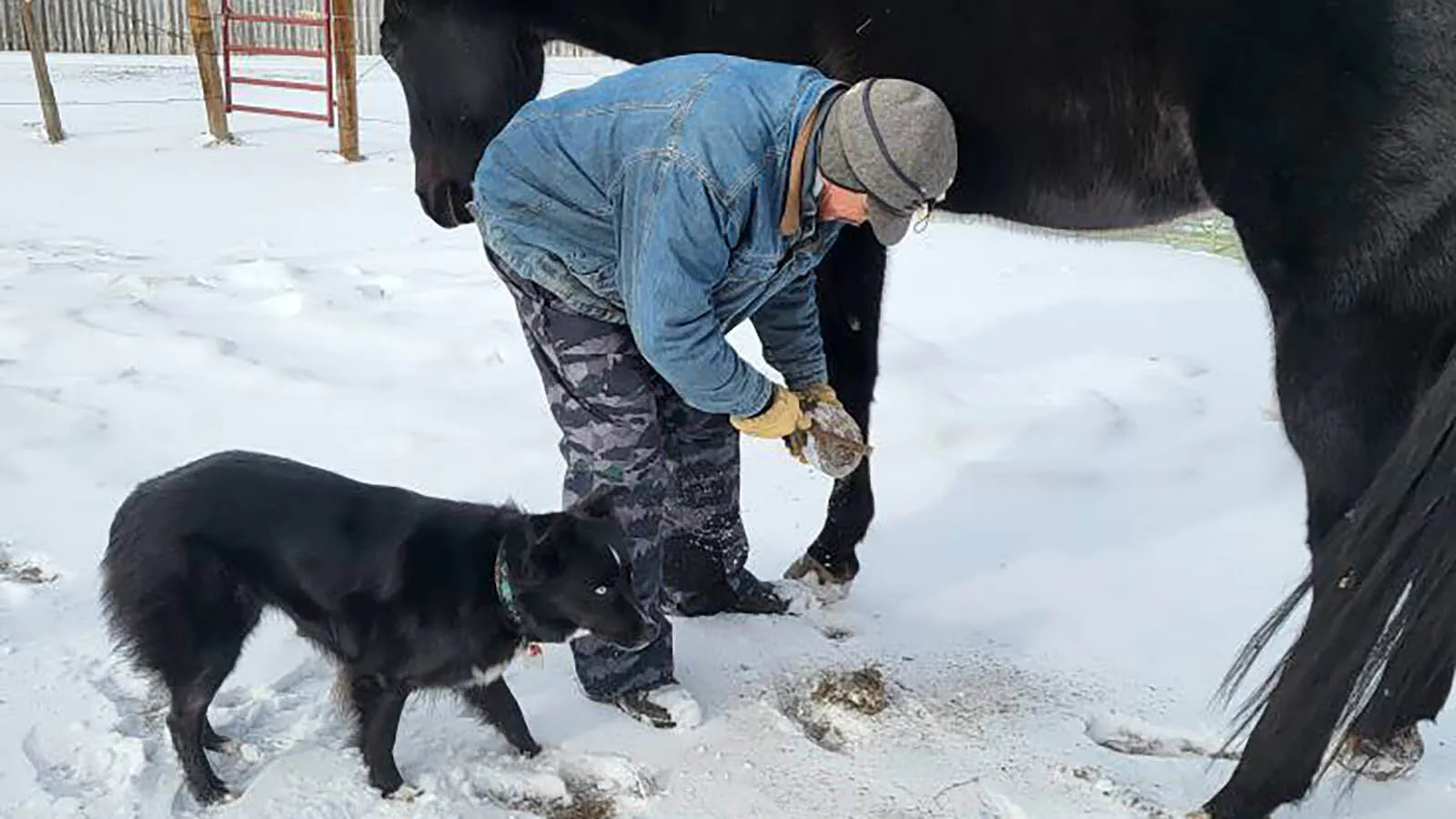 It’s Never Too Cold For Chores On Wyoming’s Family Ranches | Cowboy ...