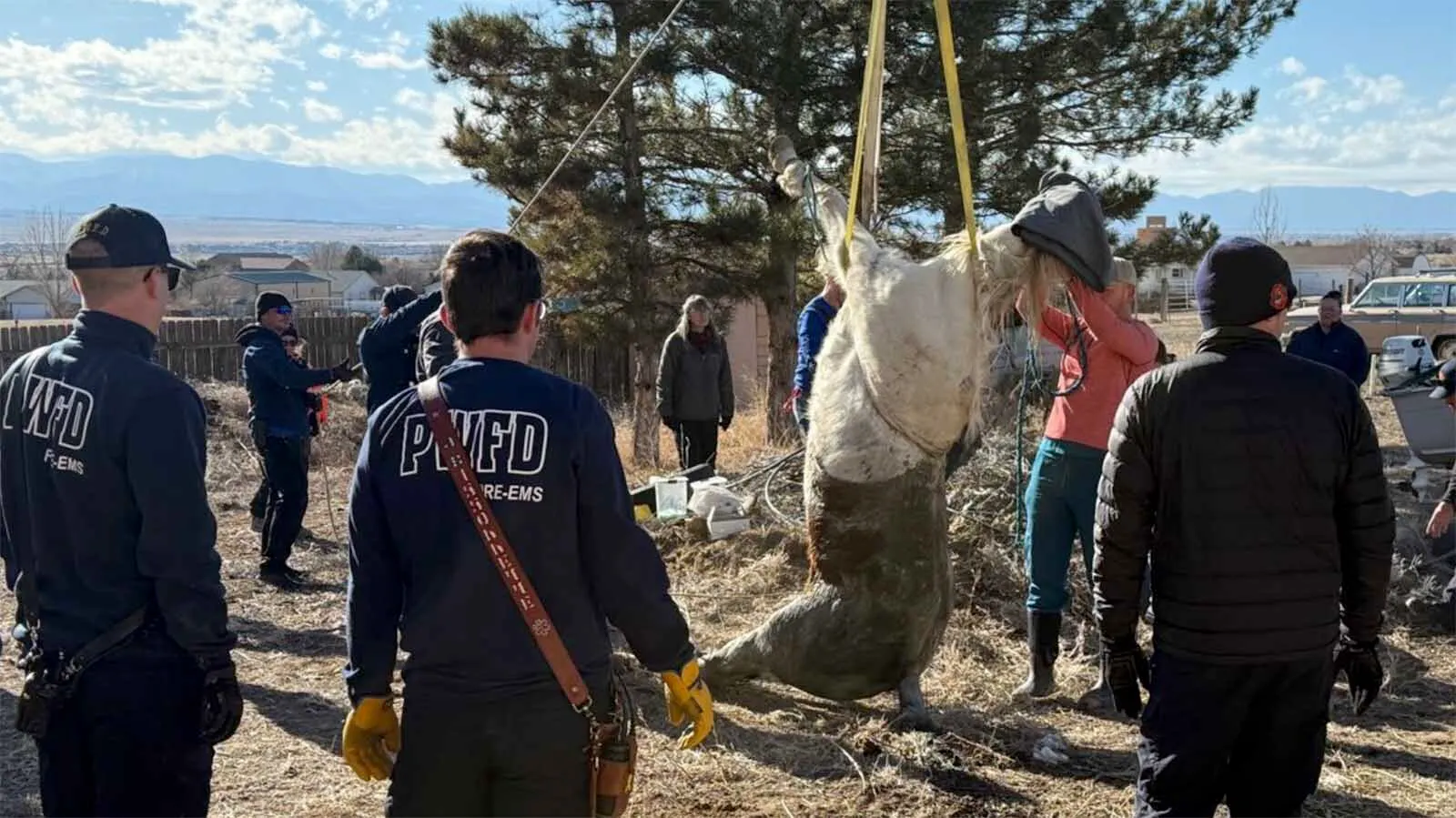Fast Action Helps Save Horse Named Frisky From Collapsed Septic Tank ...