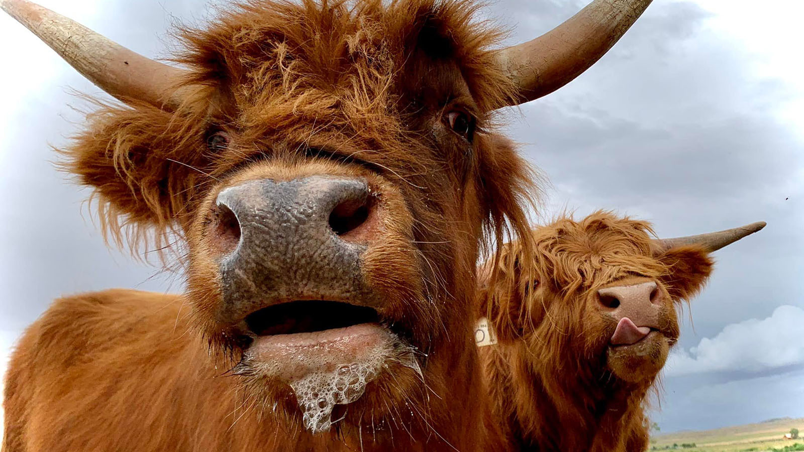 Eating Wyoming: Eclectic Wyoming Coffee Shop All About Mocktails And ...