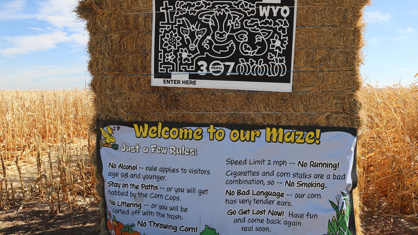 Trying Not To Get Lost In An Elaborate Corn Maze A Wyoming Fall Rite Of ...