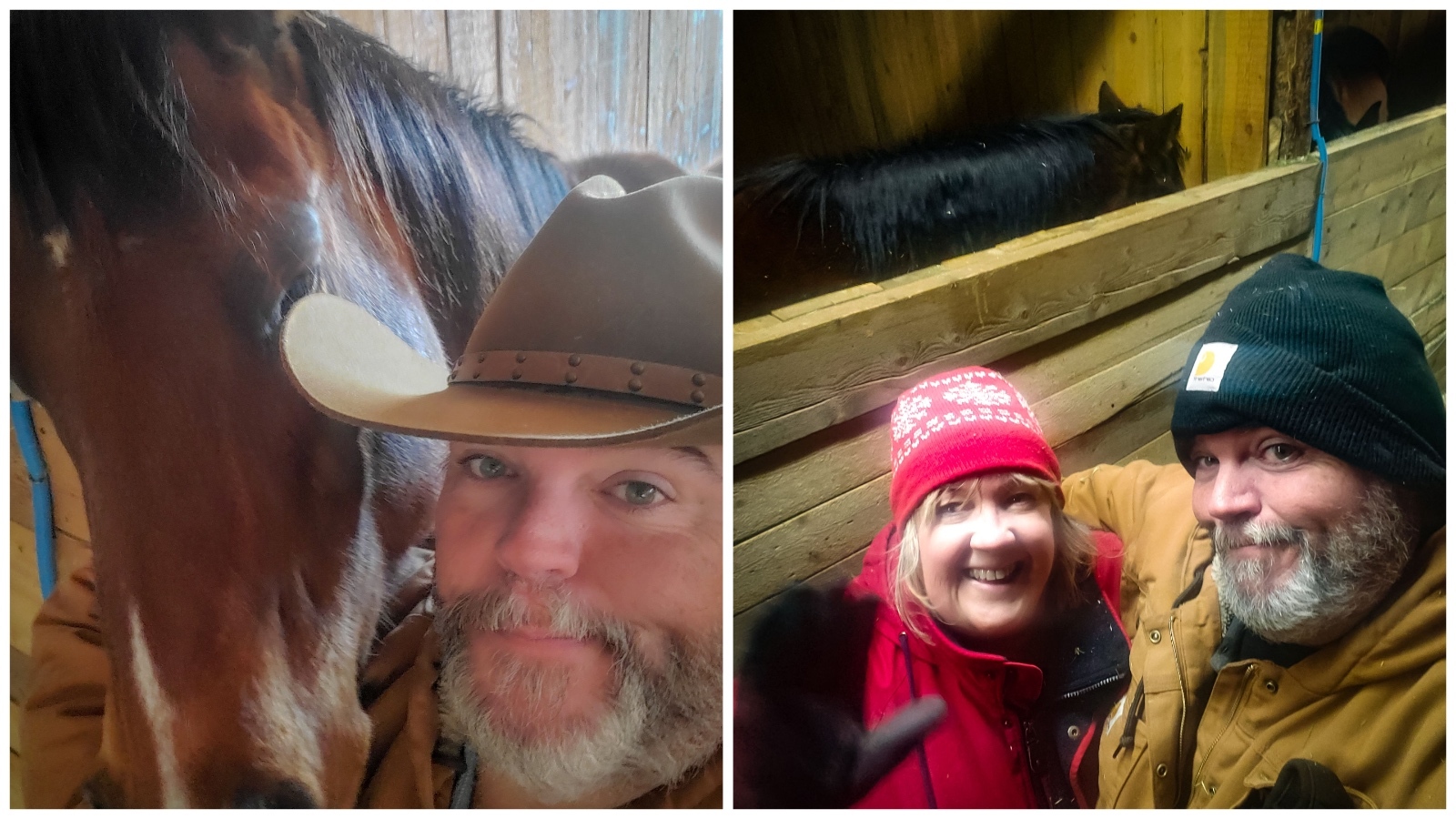 Out To Pasture: Cheyenne Couple Turns Ranch Into Haven For Older Horses ...