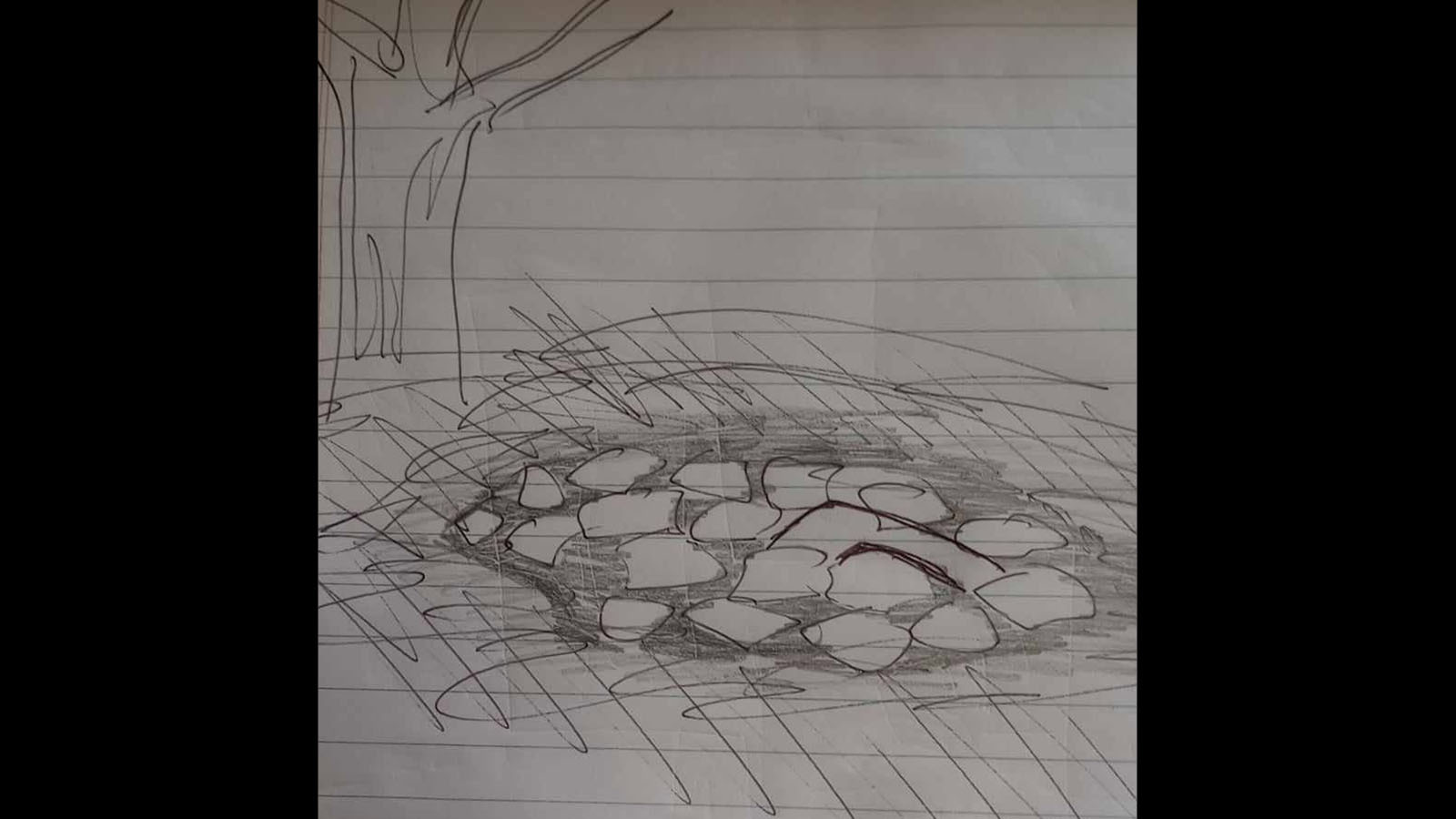 Summer Of Bundy: Investigator On Quest To Find Bodies Of Ted Bundy's ...