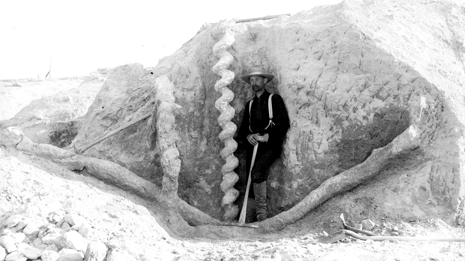 'Devil's Corkscrews' In Eastern Wyoming Are 20-Million-Year-Old Beaver ...