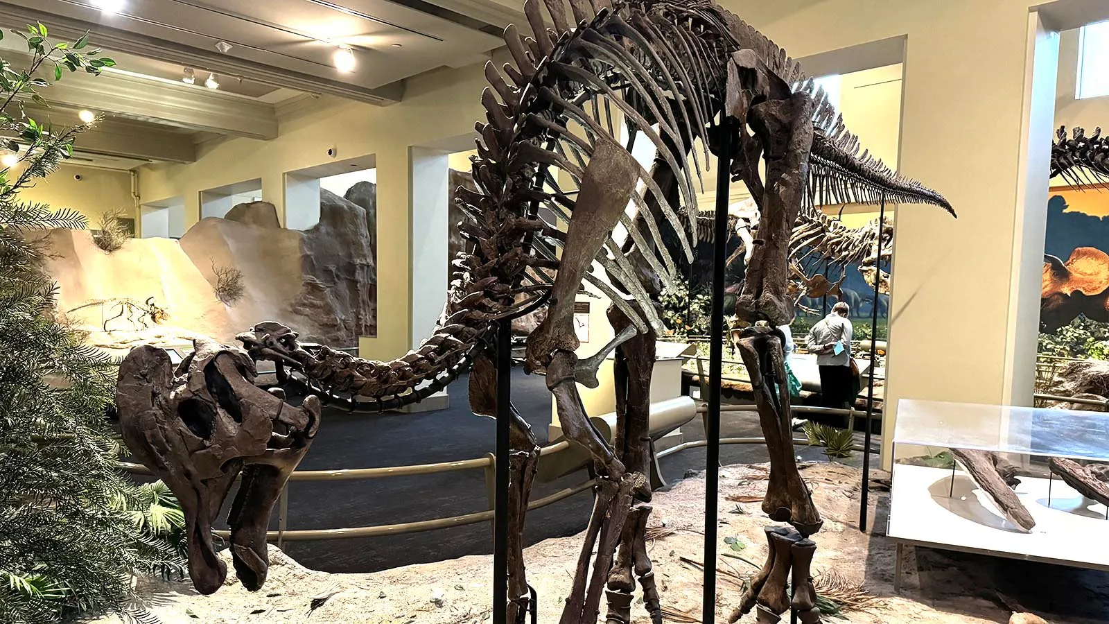 Paleontologists Think They've Figured Out A Way To Determine A Dinosaur ...