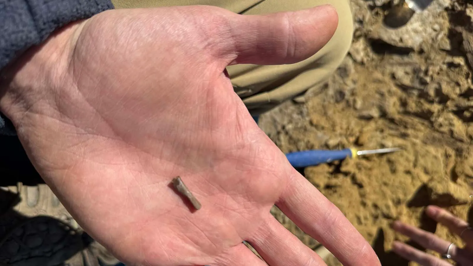 Digging Wyoming: People Flock To Glenrock To Dig for Dinosaurs In The ...