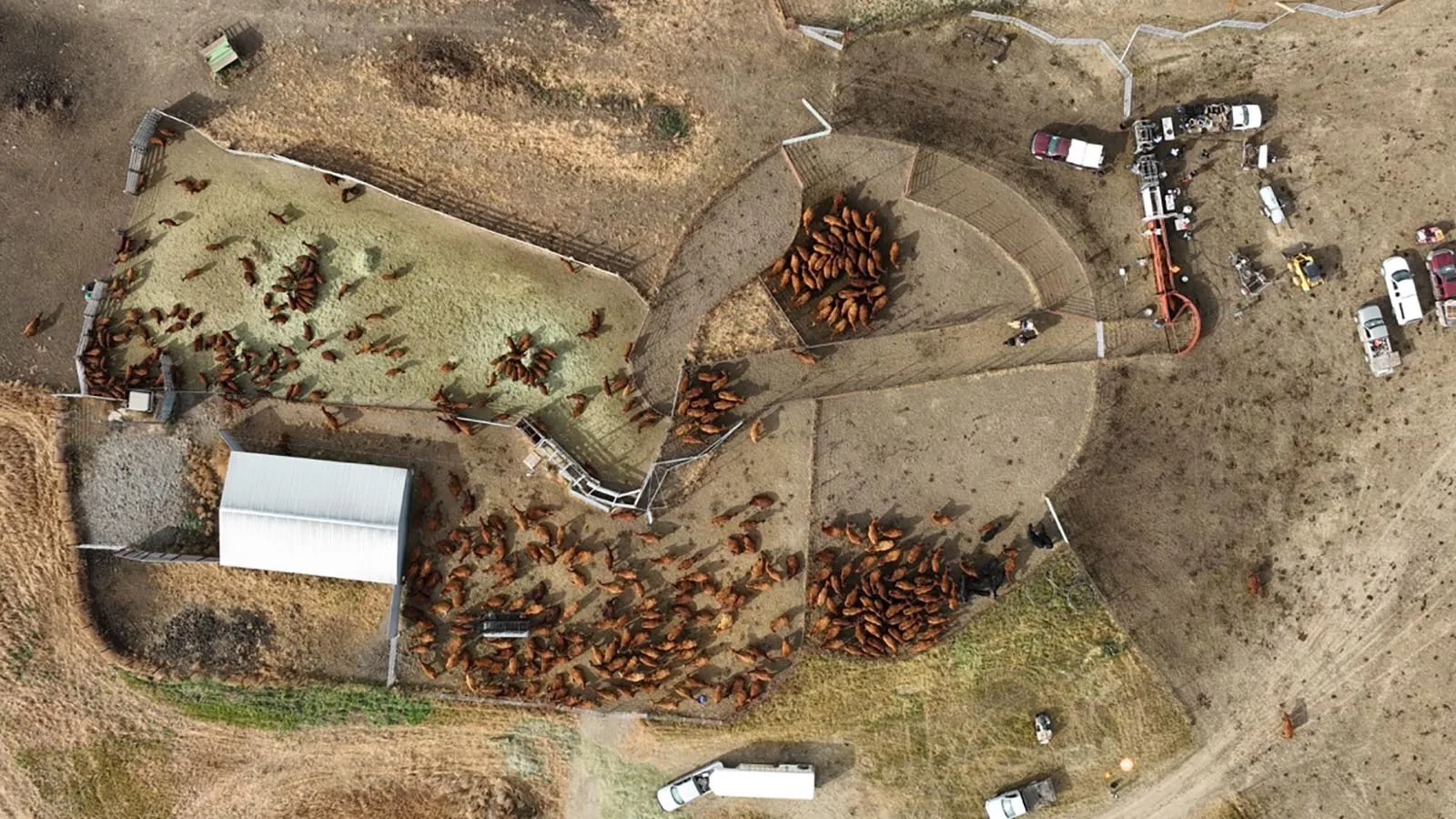 Couple Donate Legacy 38,000-Acre, $21 Million Cattle Ranch To Keep It A ...